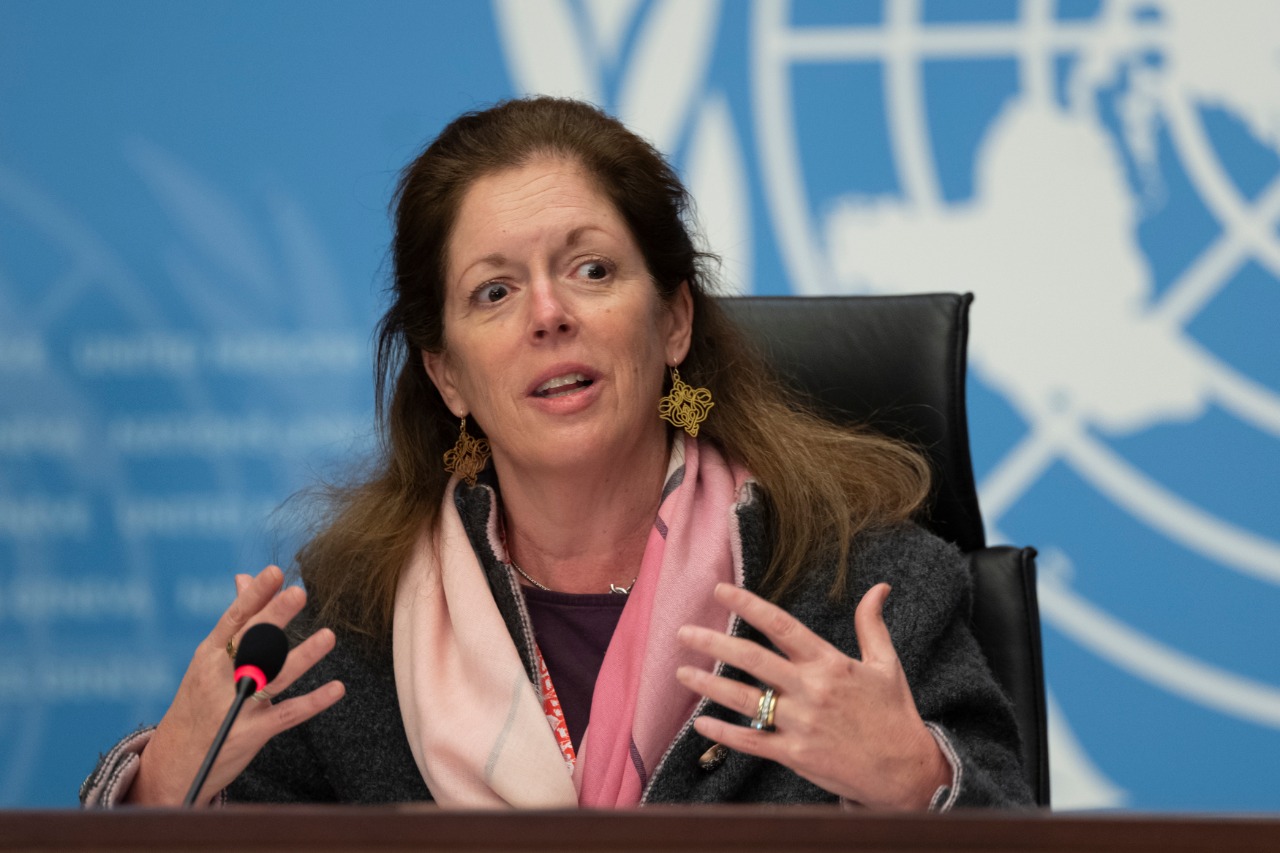 Transcript of introductory remarks by Acting Special Representative of ...